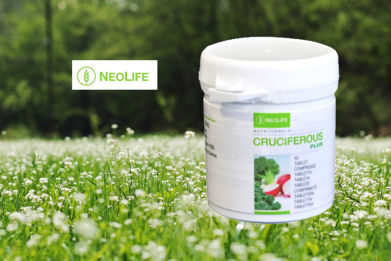 Cruciferous Plus - Cabinet de biorezonanta si medicina complementara ...