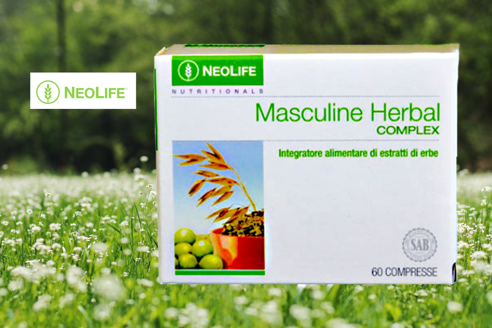 Masculin Herbal Complex - Cabinet de biorezonanta si medicina ...